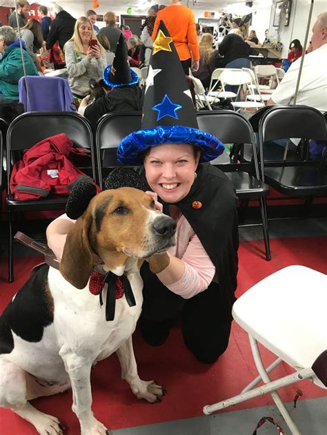 Pin By Laura Miller On Treeing Walker Coonhound Riding Helmets Treeing Walker Coonhound