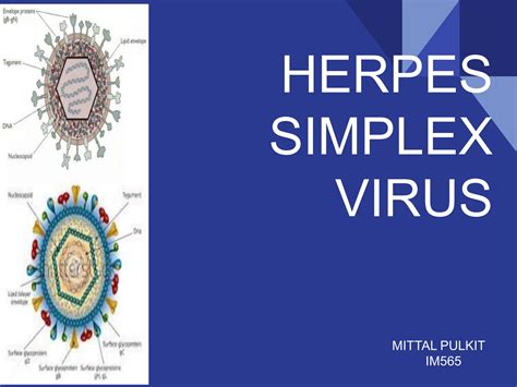 Herpes Simplex Virus 12032019 Tuesday Pptx Pptx