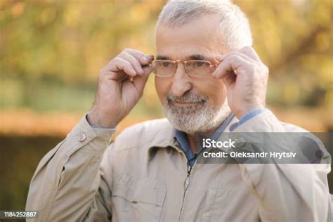 잘 생긴 수염 노인의 가까이 안경에 넣어 공원에서 회색 머리 노인 60 69세에 대한 스톡 사진 및 기타 이미지 60 69세