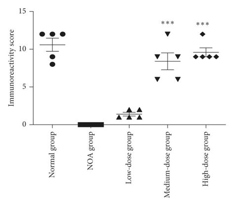 Immunohistochemical Analysis Of The α6 Integrin Expression In The Rat Download Scientific