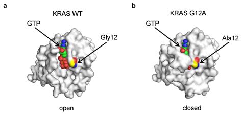 Binding Affinity Determination In Drug Design Insights From Lock And Key Induced Fit