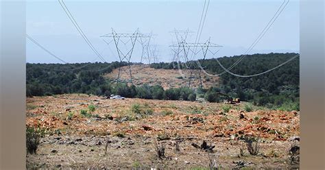 The Smart Use Of Controlled Herbicides Tandd World