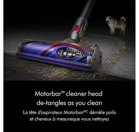 Dyson V8 Origin Bundle With Quick Release Home Cleaning Kit Tscca