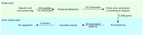 Analysis Workflow Microarray Expression Data Were Analyzed At Two