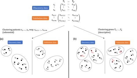 Schematic Representation Of Clustering On A Gene Expression Dataset