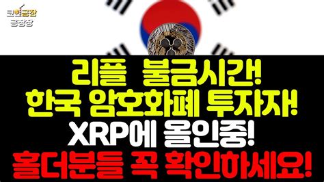 리플 저녁시간한국 암호화폐 투자자xrp 올인中홀더분들 꼭 확인하세요 Youtube