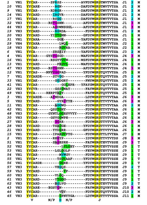 Translated Complementarity Determining Region Cdr 3 Repertoire Download Scientific Diagram