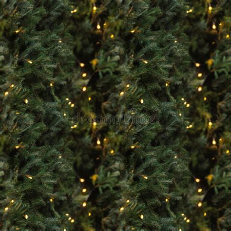 Festive Pine Tree Close Up With Warm Twinkle Lights And Fresh Pine Branches Stock Illustration