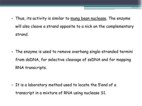 S1 Nuclease Mapping Pptx