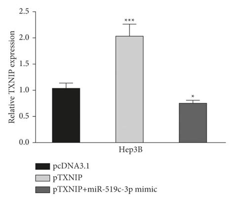 Magi2 As3 Affects Hcc Behaviors Through Regulating Txnip A Txnip
