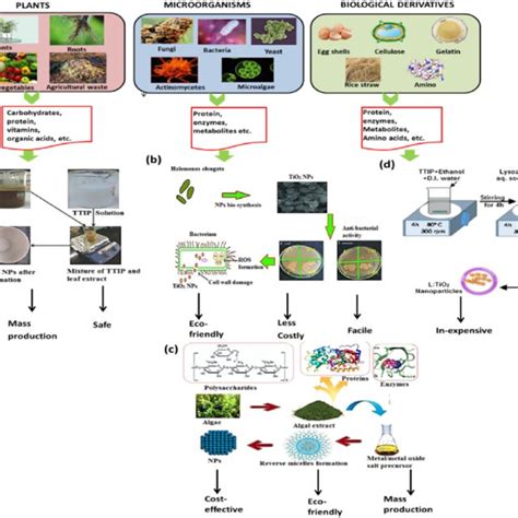 Pdf Synthesis Characterization And Advanced Sustainable Applications Of Titanium Dioxide