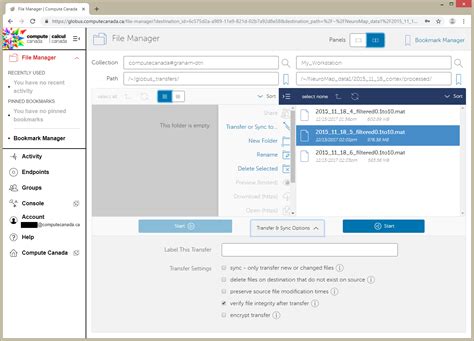 data transfer and backup on remote computers — ubc dynamic brain