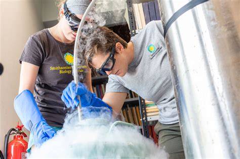 广东大亚湾海洋生态系统国家野外科学观测研究站