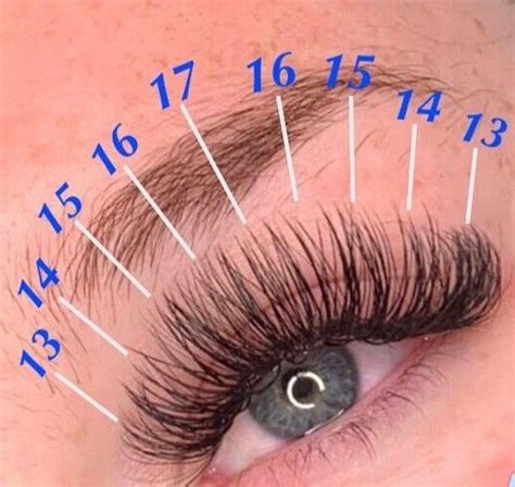 Hybrid Set Lash Mapping UBL Lash Supplies Perfect Eyelashes Eyelash Extentions Eyelash