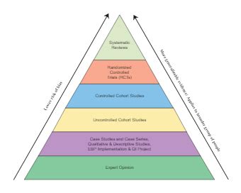 Taxonomy Chart Templates EdrawMax Free Editable