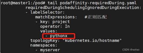 k8s pod 亲和与反亲和 （podaffinity与podantiaffinity） 反亲和目的 csdn博客