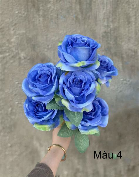 Hoa H Ng Gi B Ng P Hoa H Ng L A Hoa H Ng Trang Tr