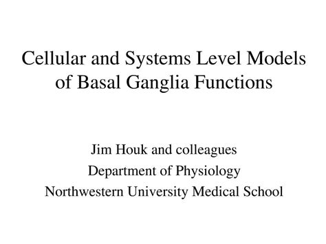 Ppt Cellular And Systems Level Models Of Basal Ganglia Functions Powerpoint Presentation Id