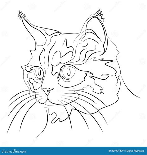 Outline Drawing Of A Cat S Muzzle Illustration Stock Vector Illustration Of Drawing