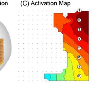 A A Typical Configuration Of Flexible PCB Arrays Employed In This Download Scientific Diagram