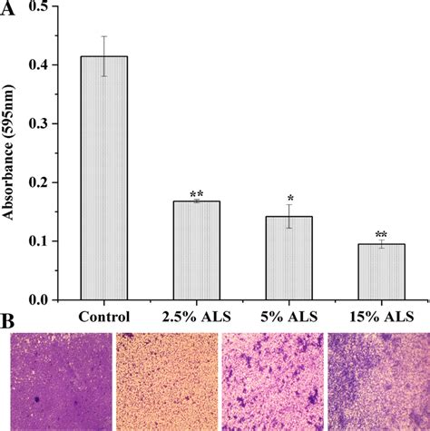Biofilm Quantification After Exposure With Lung Surfactant A Biofilm Download Scientific
