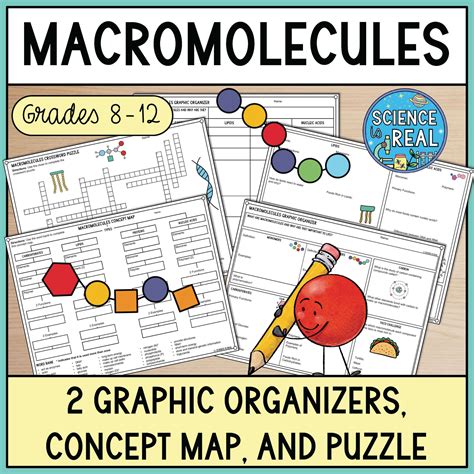 Macromolecules Graphic Organizer Activities Science Is Real Education