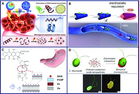 Recent Examples Of Microswimmers Developed For The Delivery Of