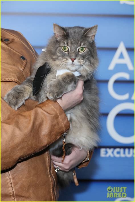 Tom Hanks Poses With Smeagol The Cat At A Man Called Otto Screening