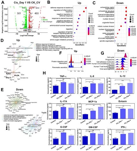 Rna Seq Analysis Shows The Transcriptional Alteration Related To Download Scientific Diagram