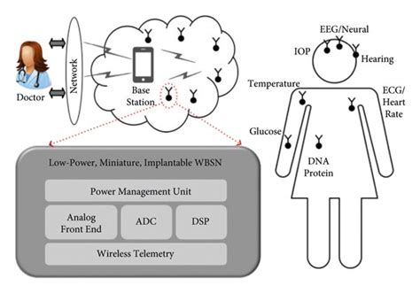 Wireless Body Sensor Nodes Forming 5 Download Scientific Diagram