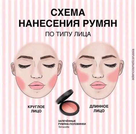 Как правильно нанести румяна видео урок
