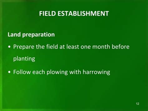 Cucumber Pptx Gardening Home And Garden