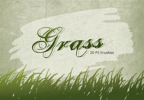 20 Grass Silhouette Ps Brushesabr Vol3 Free Photoshop Brushes At