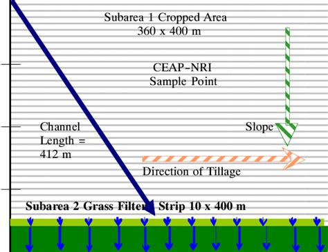 Field Configuration Used To Represent A Riparian Buffer Shown With Download Scientific Diagram