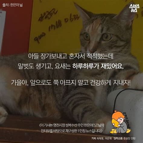 생선 싫어하는 생선 가게 고양이 인스티즈instiz 이슈 카테고리
