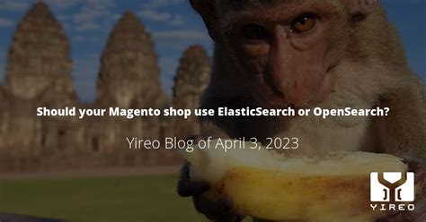 Blog Should Your Magento Shop Use Elasticsearch Or Opensearch While