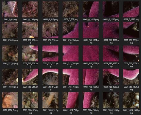 How To Split Image Into Multiple Pieces In Python Stack Overflow