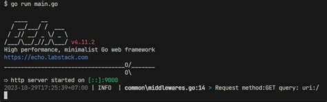 basic logging in echo golang dev community