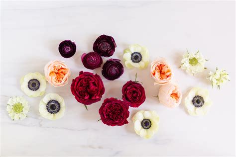 Orange Ranunculus Wallpapers Wallpaper Cave