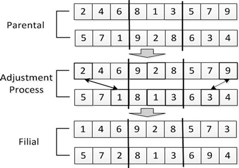 Double Point Sequential Crossover Operator Download Scientific Diagram