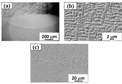 Sem Images At The Cross Section Of Electron Beam Melted Inconel 718