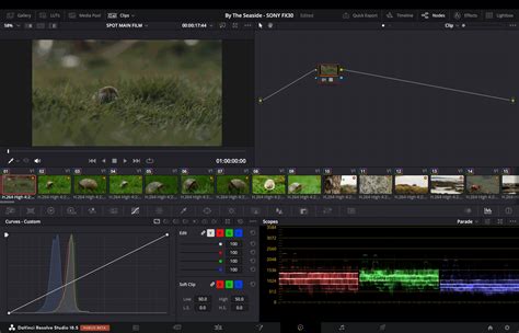 bending issues with any lut in resolve 18 5 anyone else experiencing