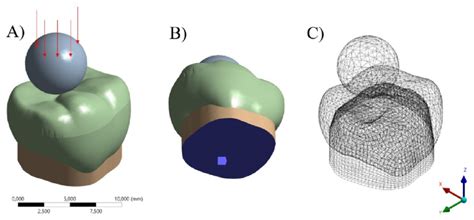 Finite Element Model With Boundary Conditions Applied In The Present