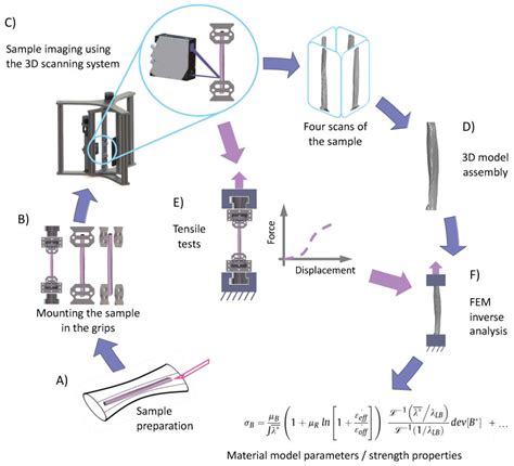 A D Scanning System For Inverse Analysis Of Moist Biological Samples Design And Validation