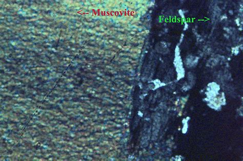 Muscovite