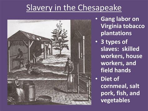 Ppt The Daily Lives Of Slaves Powerpoint Presentation Free Download
