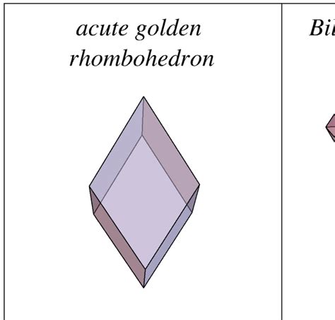 Polyhedron