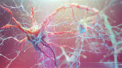 Neural Pathways Stills From Movie Behance