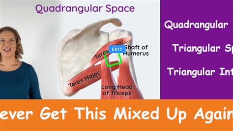 Ace Your Anatomy Exam