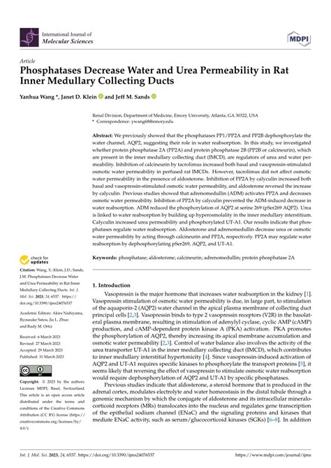 Pdf Phosphatases Decrease Water And Urea Permeability In Rat Inner Medullary Collecting Ducts